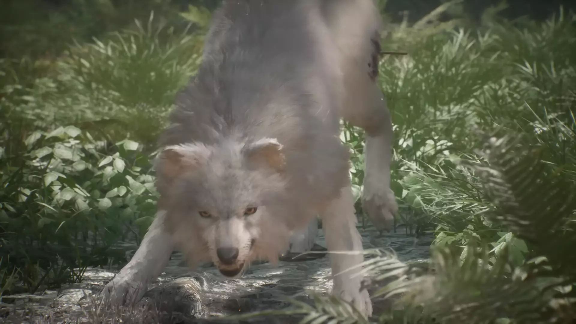 Everything We Know About Beast of Reincarnation - The Game Haus